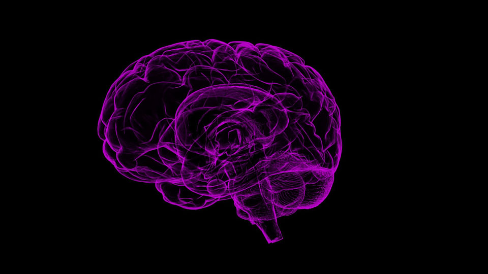 Genes linked to autism may play a role in uncontrollable eye movements