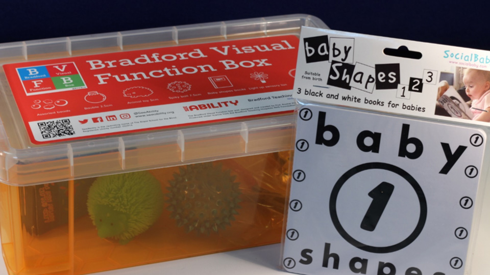SeeAbility introduces new visual function tool