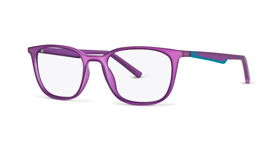 Sustainable innovation in eyewear: meeting consumer’s desires to make a ...