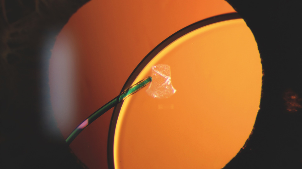 Haag Streit announces imaging competition winners for 2023