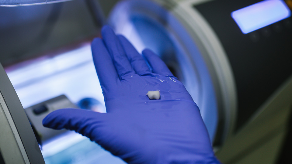 Restoring vision using a patient’s own tooth